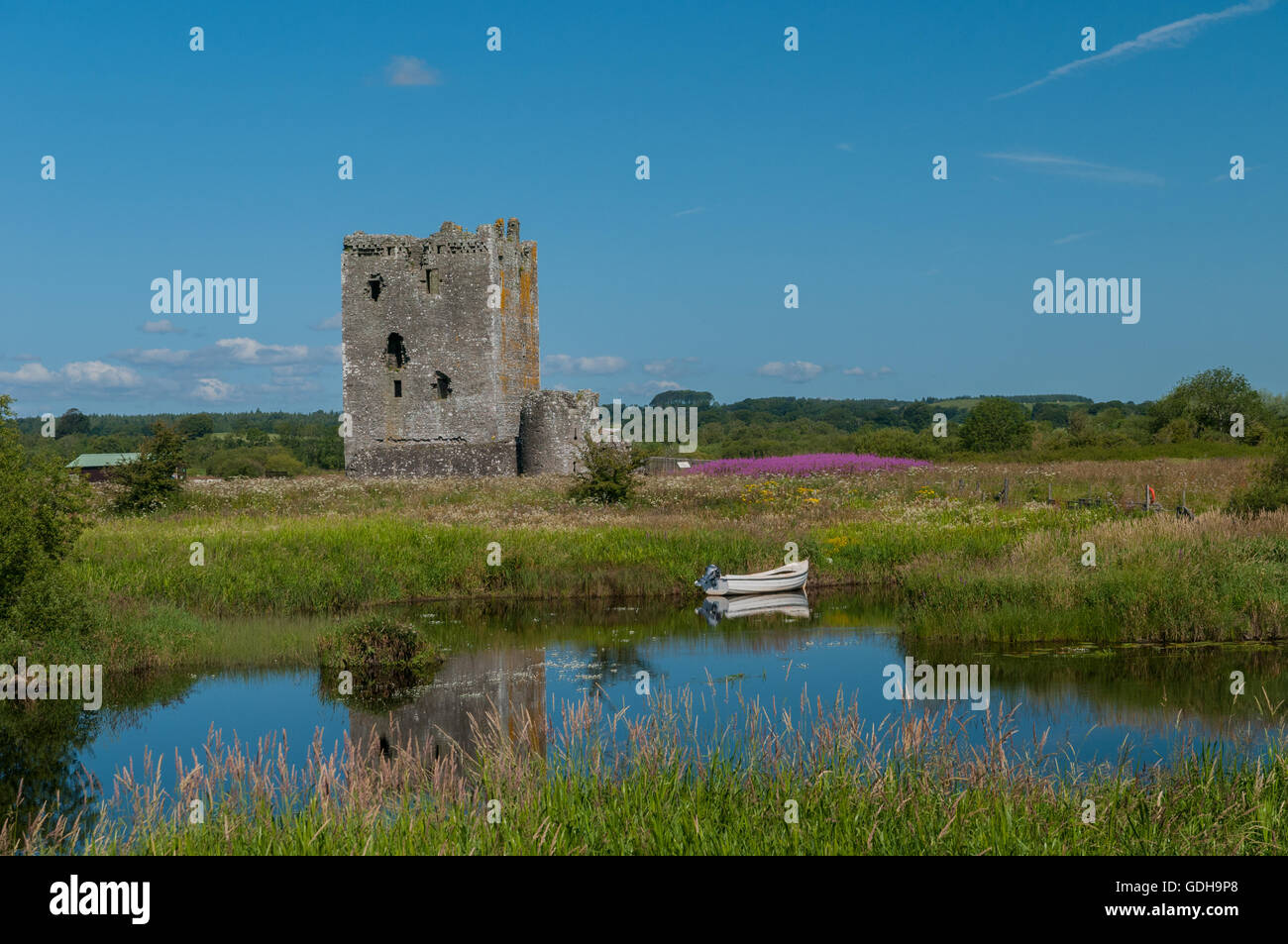 Douglas river hi-res stock photography and images - Alamy