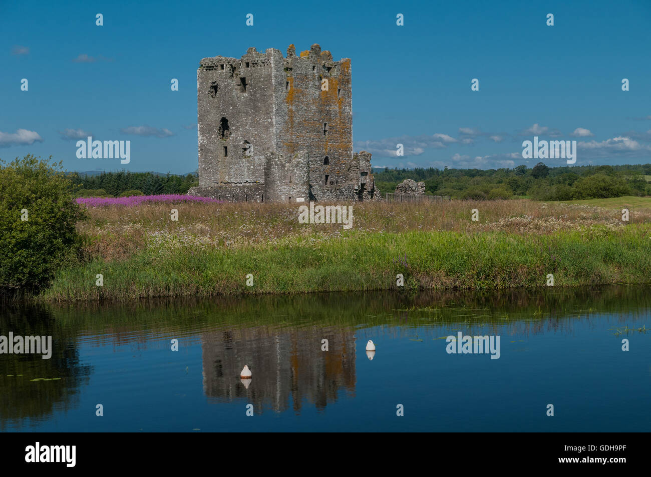 Threave Castle , a a massive 14th century tower built by Archibald the ...