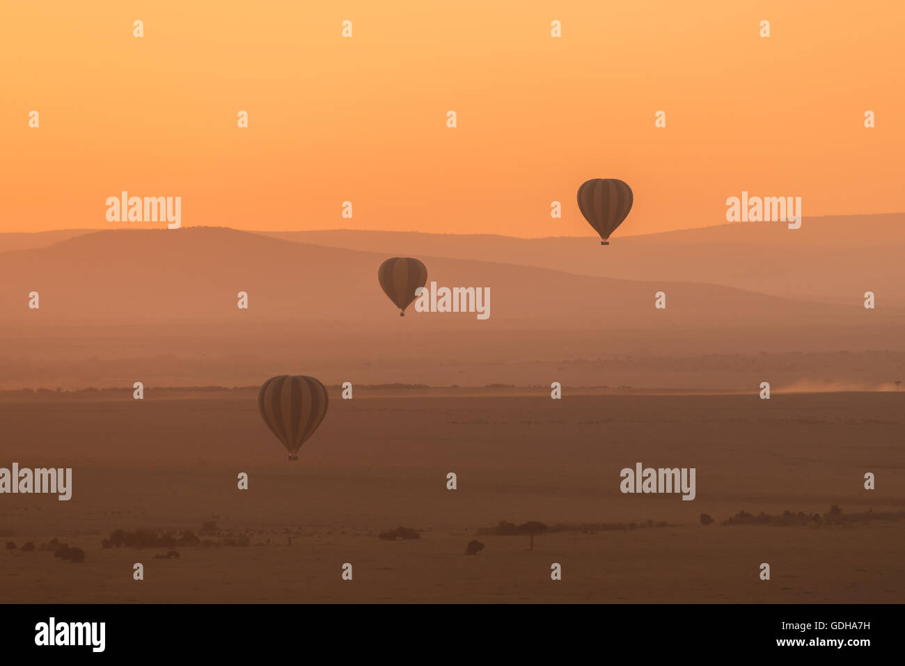 Three hot air balloons fly over the low hills of the African savannah ...