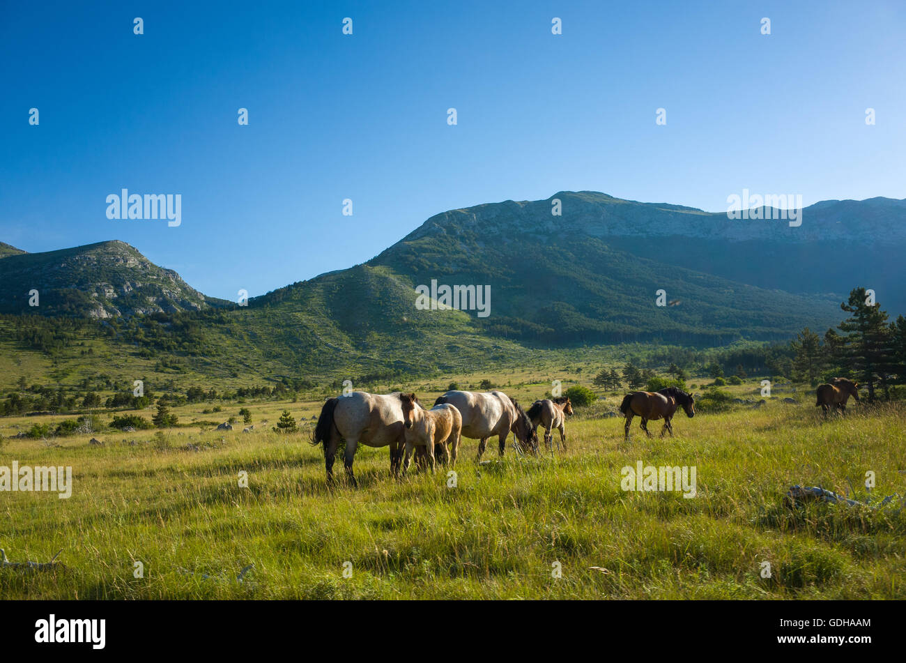 Paklenica National Park Croatia Stock Photo - Alamy