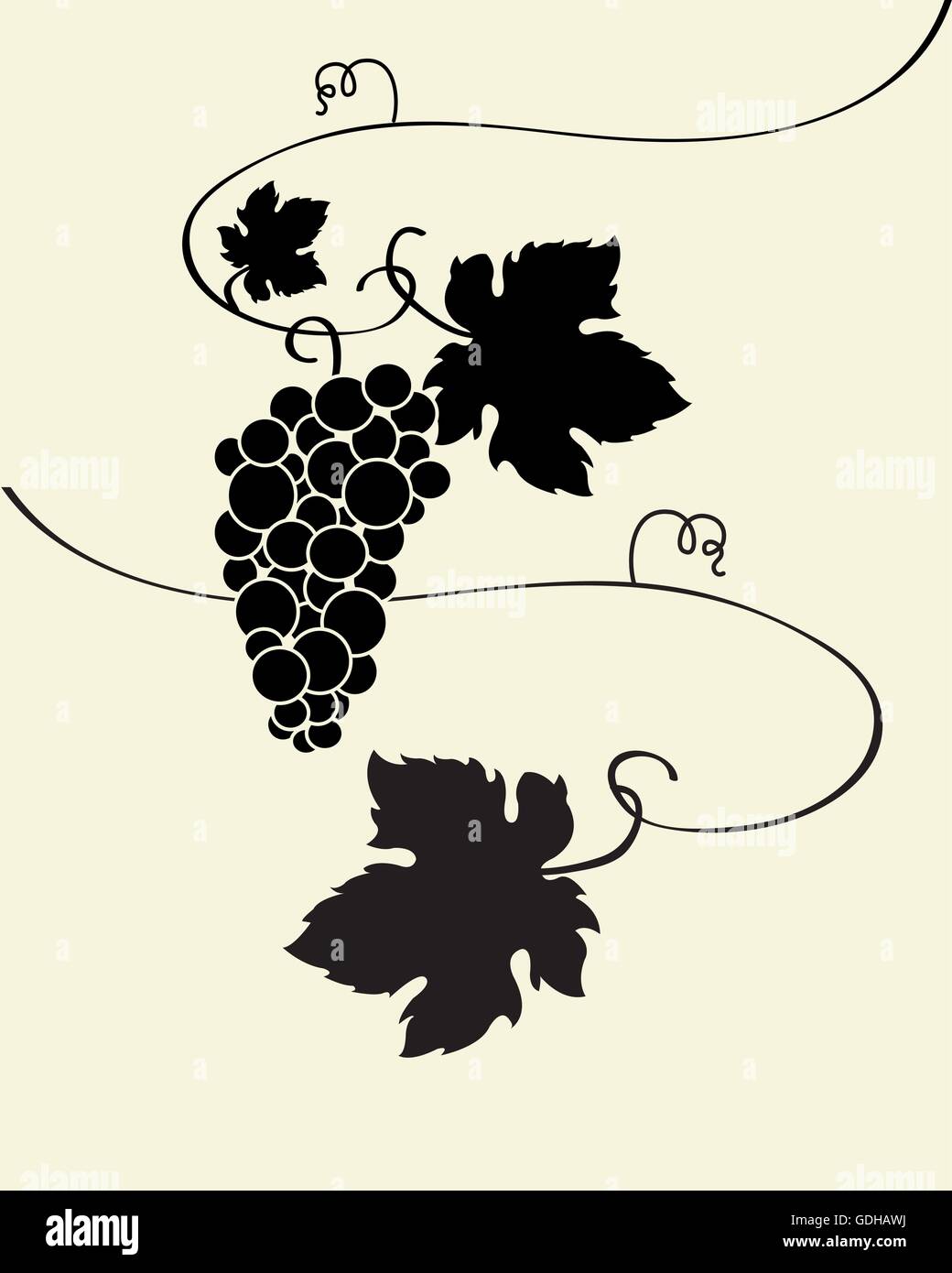 Wild wine plant Stock Vector Images - Alamy