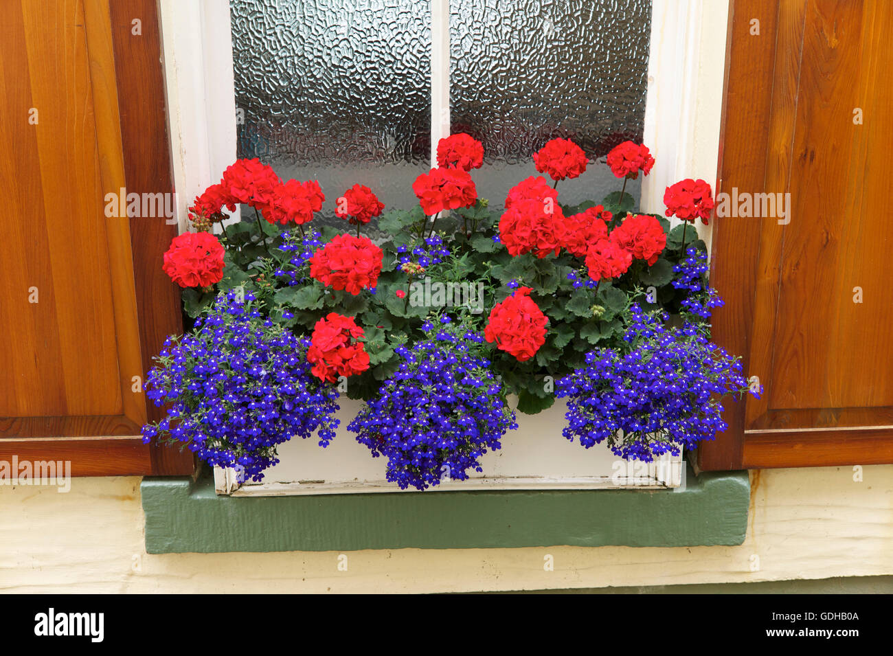 Colourful window box, UK Stock Photo - Alamy