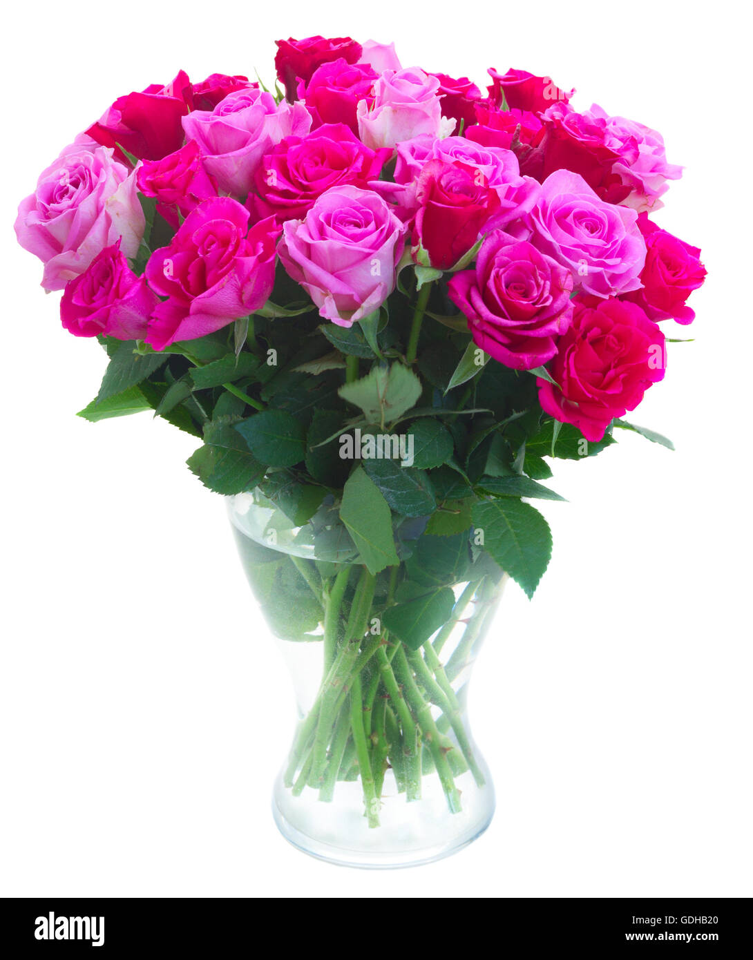 Magenta color roses Cut Out Stock Images & Pictures - Alamy