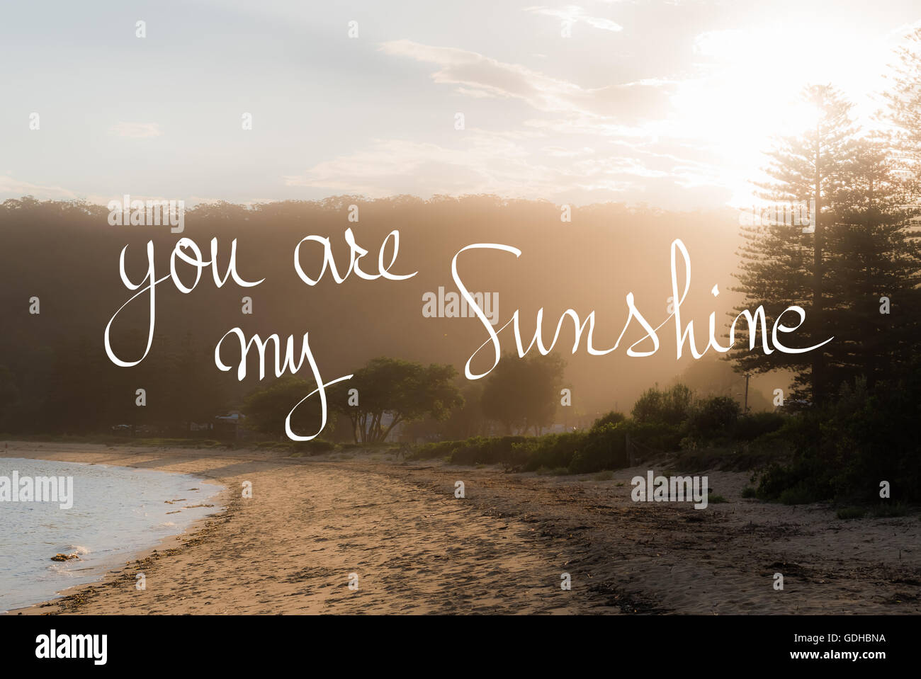 You Are My Sunshine message. Handwritten motivational text over sunset ...