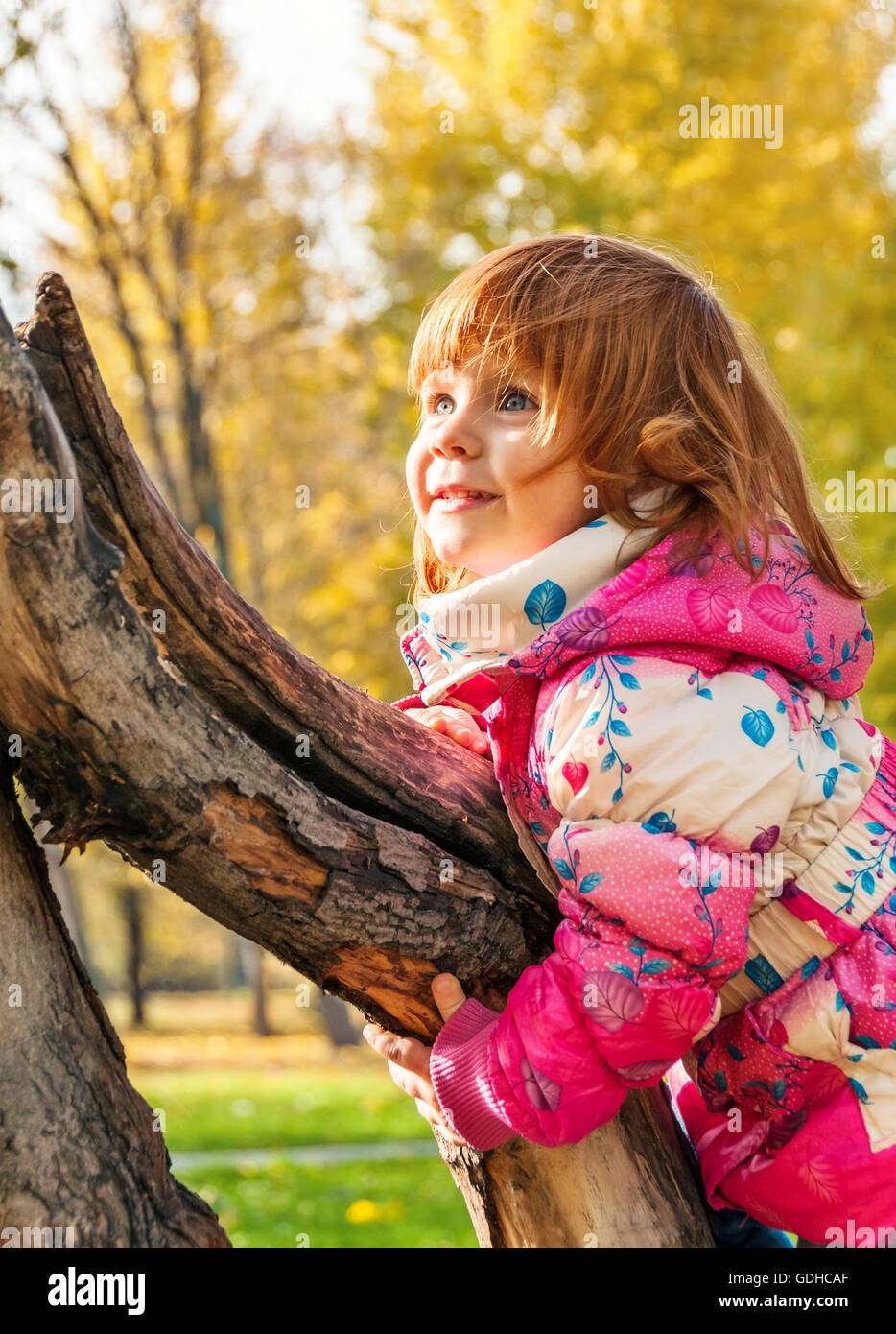 Happy child playing in the park climbing on the tree Stock Photo - Alamy