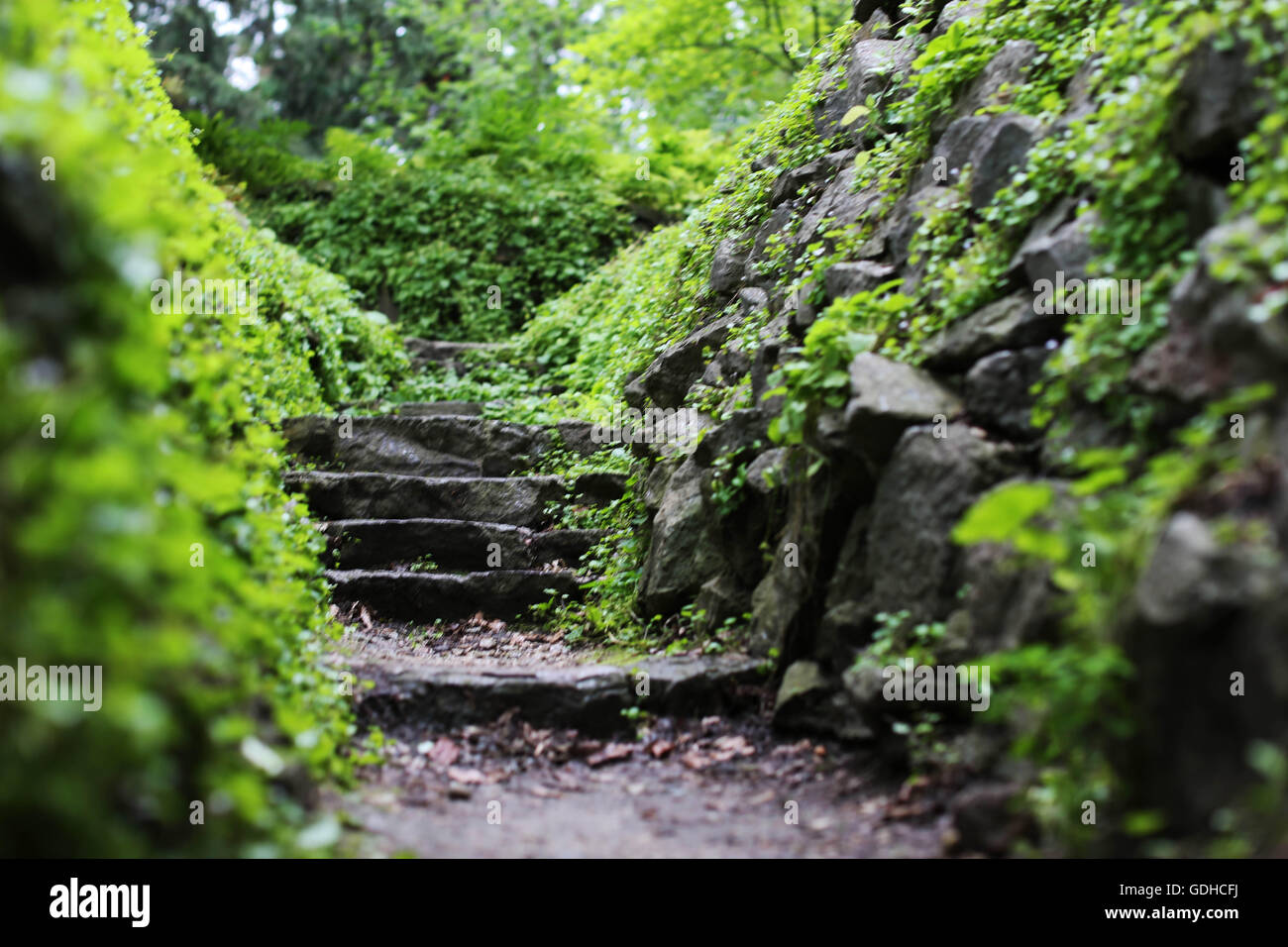 Warsaw, Poland. 17th July, 2016. A stone pathway is seen in the ...