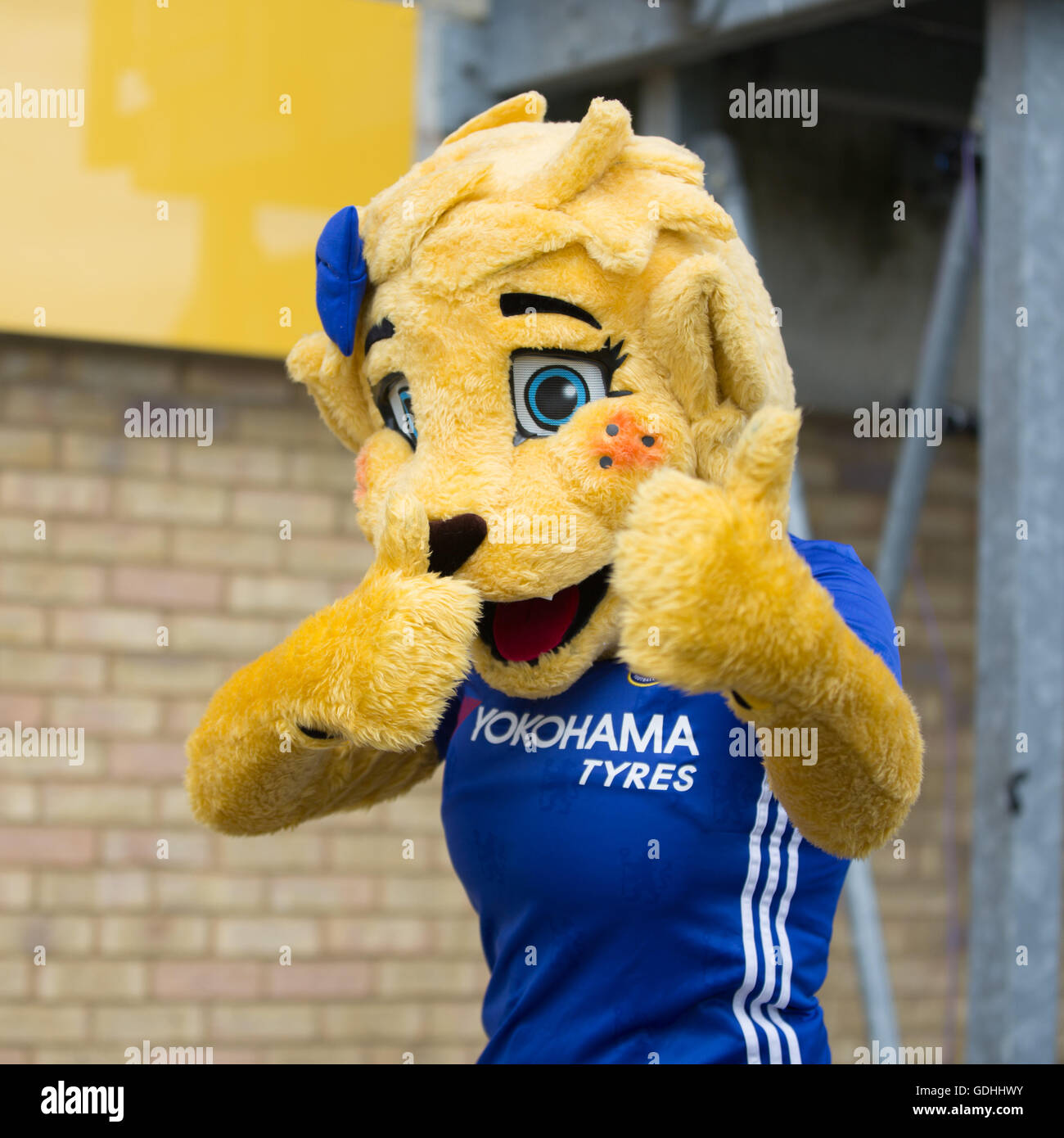 Chelsea Vs Arsenal Cartoons