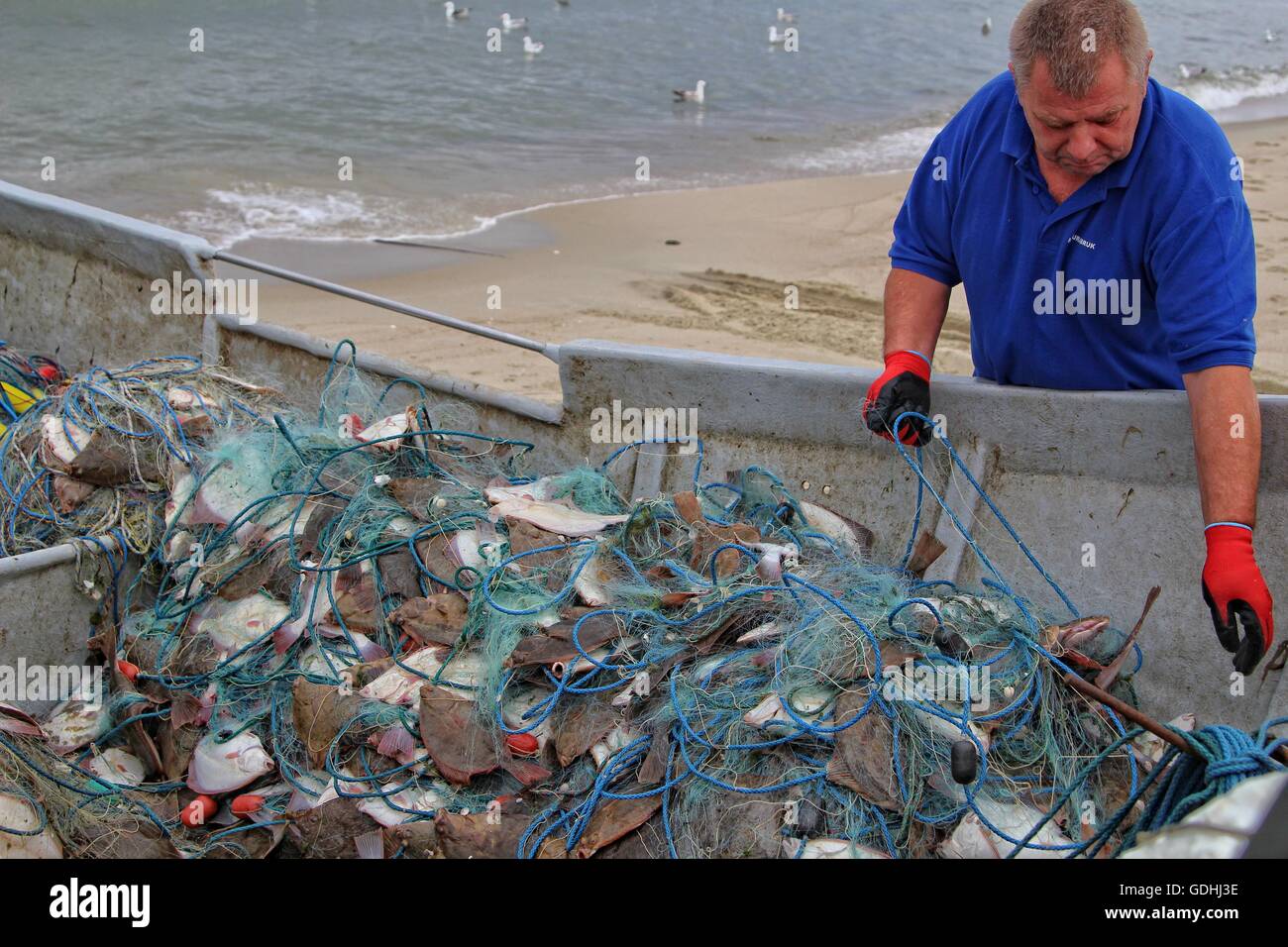 Piaski, Poland 17th, July 2016 Fishermen in Piaski return from the ...