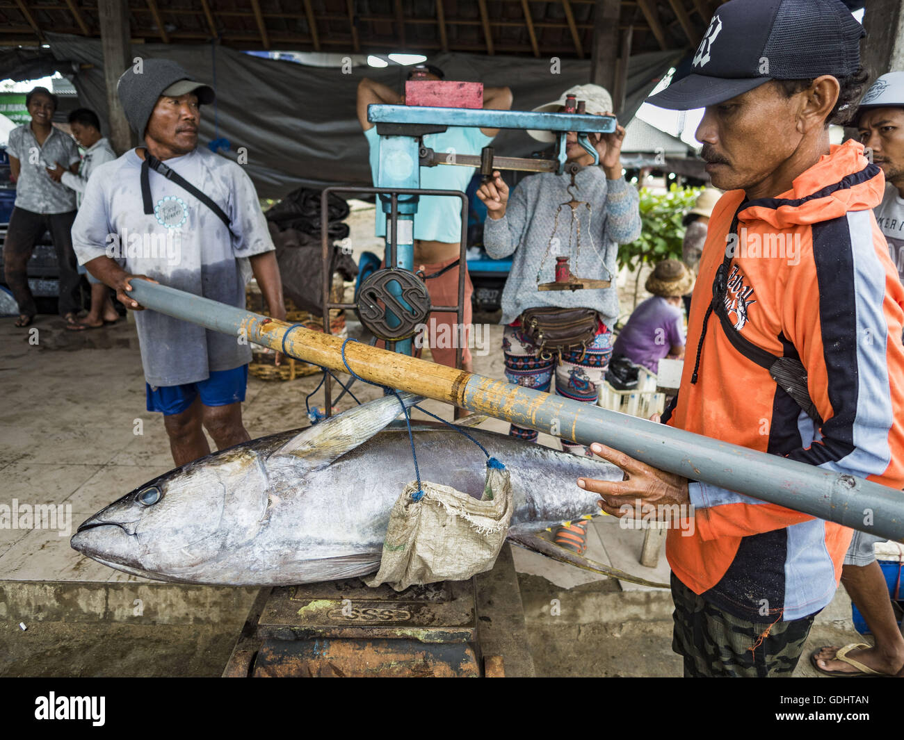 Kuta, Bali, Indonesia. 18th July, 2016. Workers weigh yellowfin tuna at ...