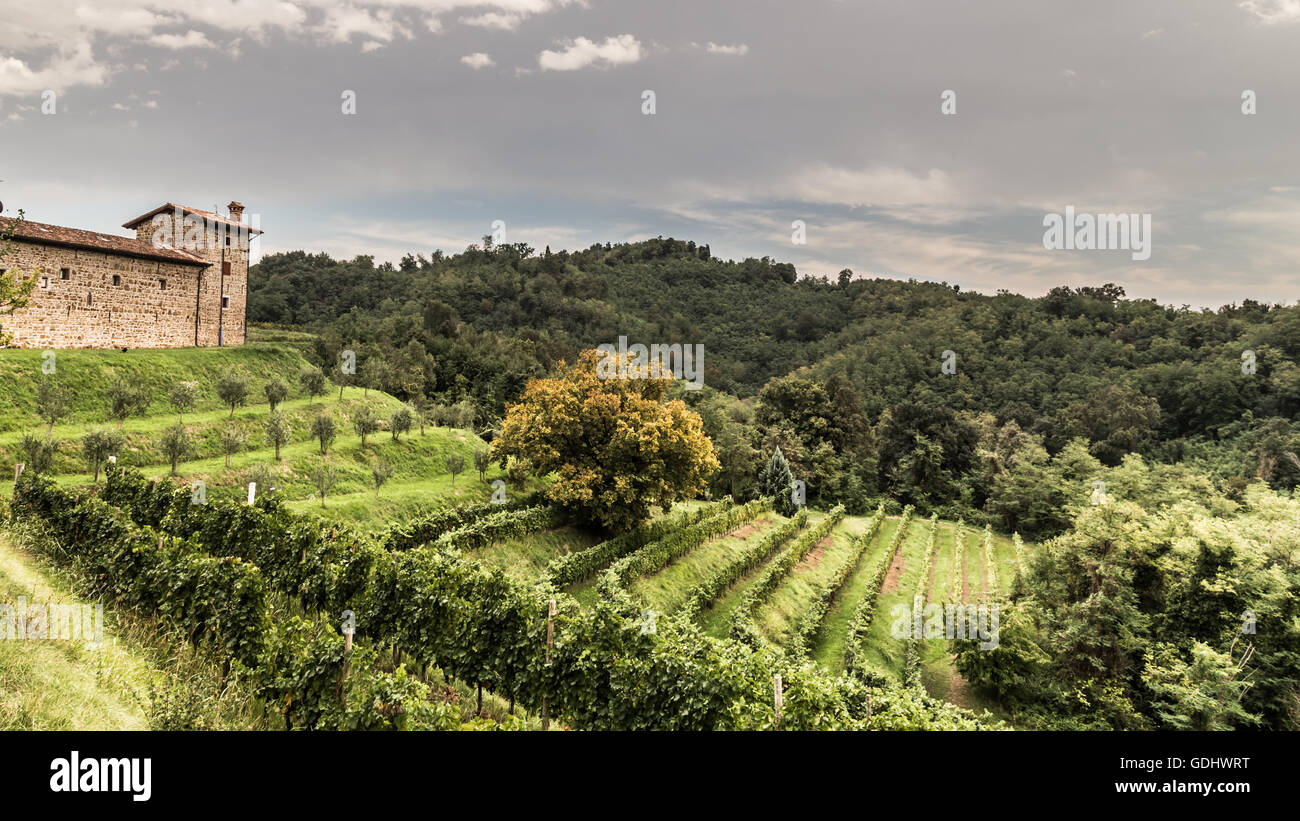 an abandoned and ruined farm in the fields of Italy Stock Photo - Alamy