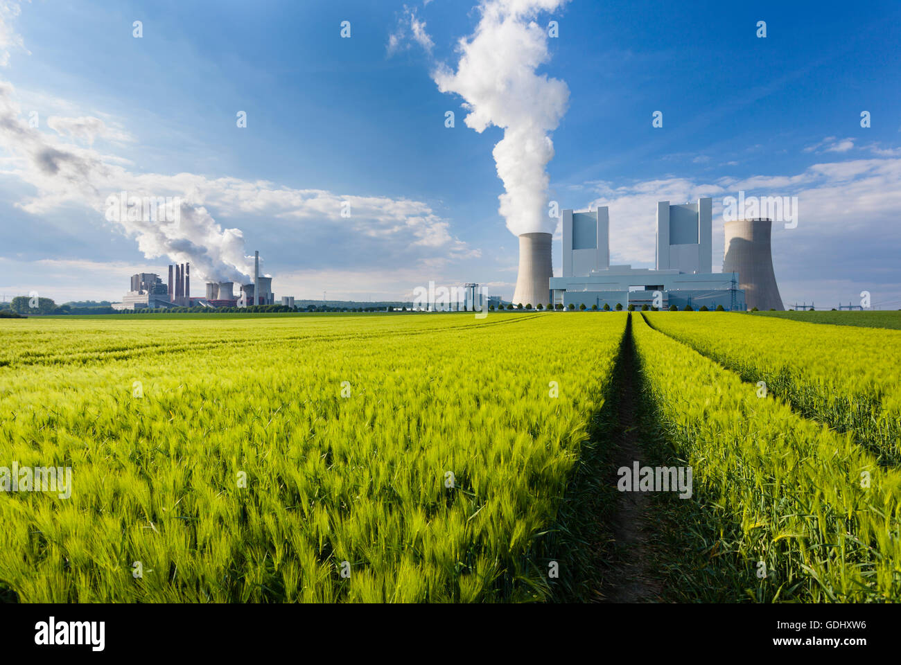 A shiny new lignite power station behind a rye field with wheel tracks ...