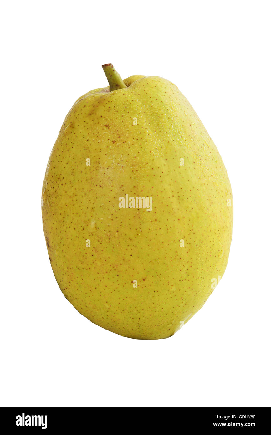 Fragrant pears . sweet fragrant flavor and aroma on isolated white ...