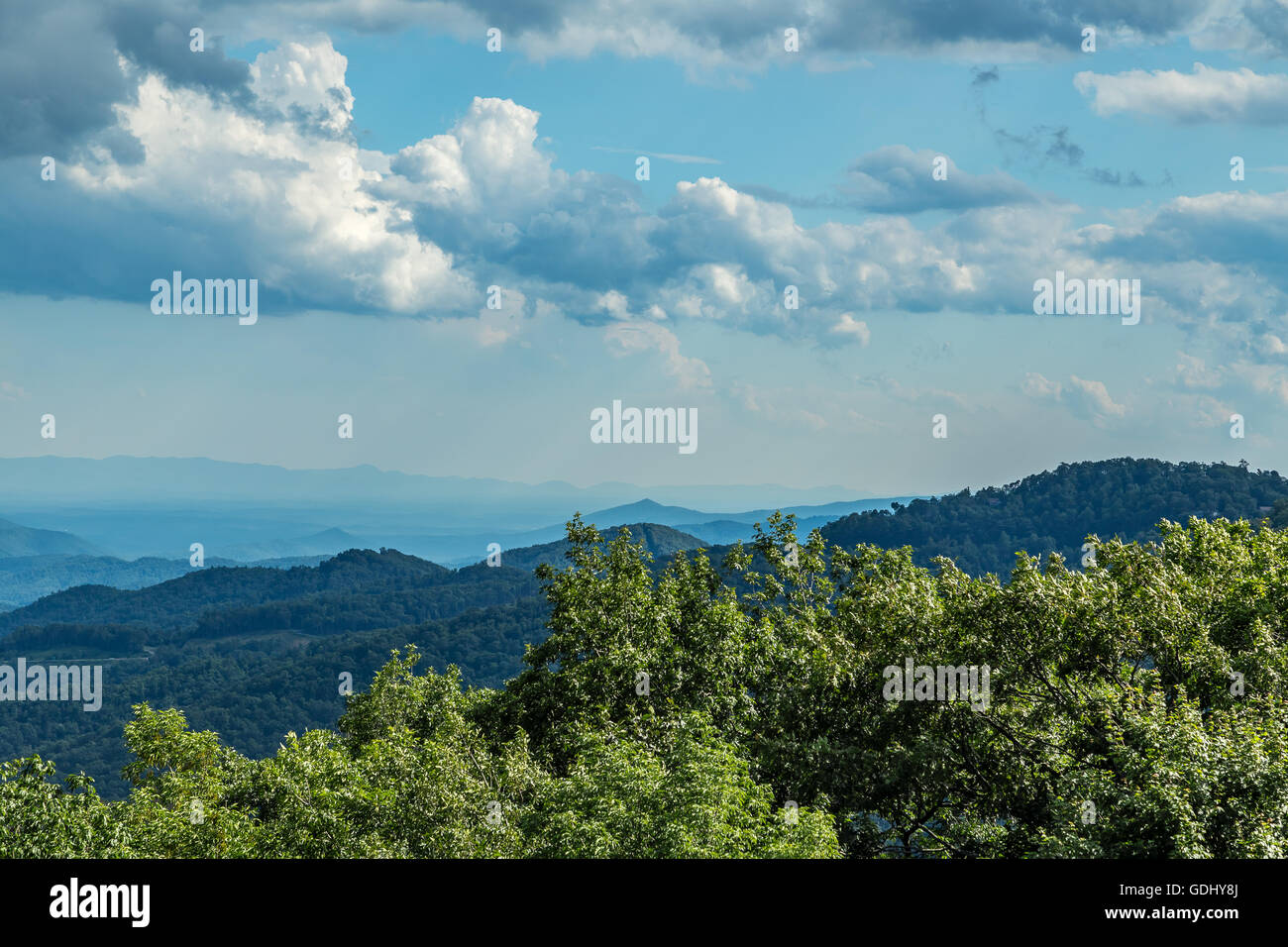 Bear blue ridge parkway hi-res stock photography and images - Alamy