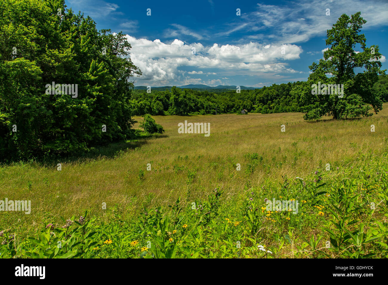 A view of a meadow in the foothills of the Blue Ridge Mountains in ...