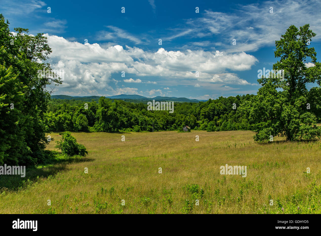 A view of a meadow in the foothills of the Blue Ridge Mountains in ...