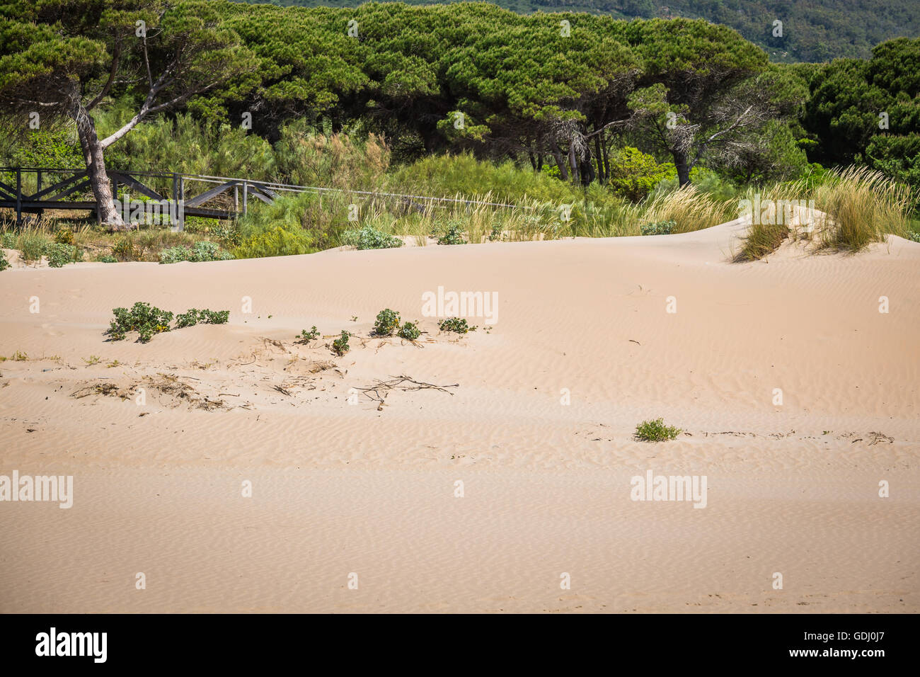 Bolonia medieval hi-res stock photography and images - Alamy
