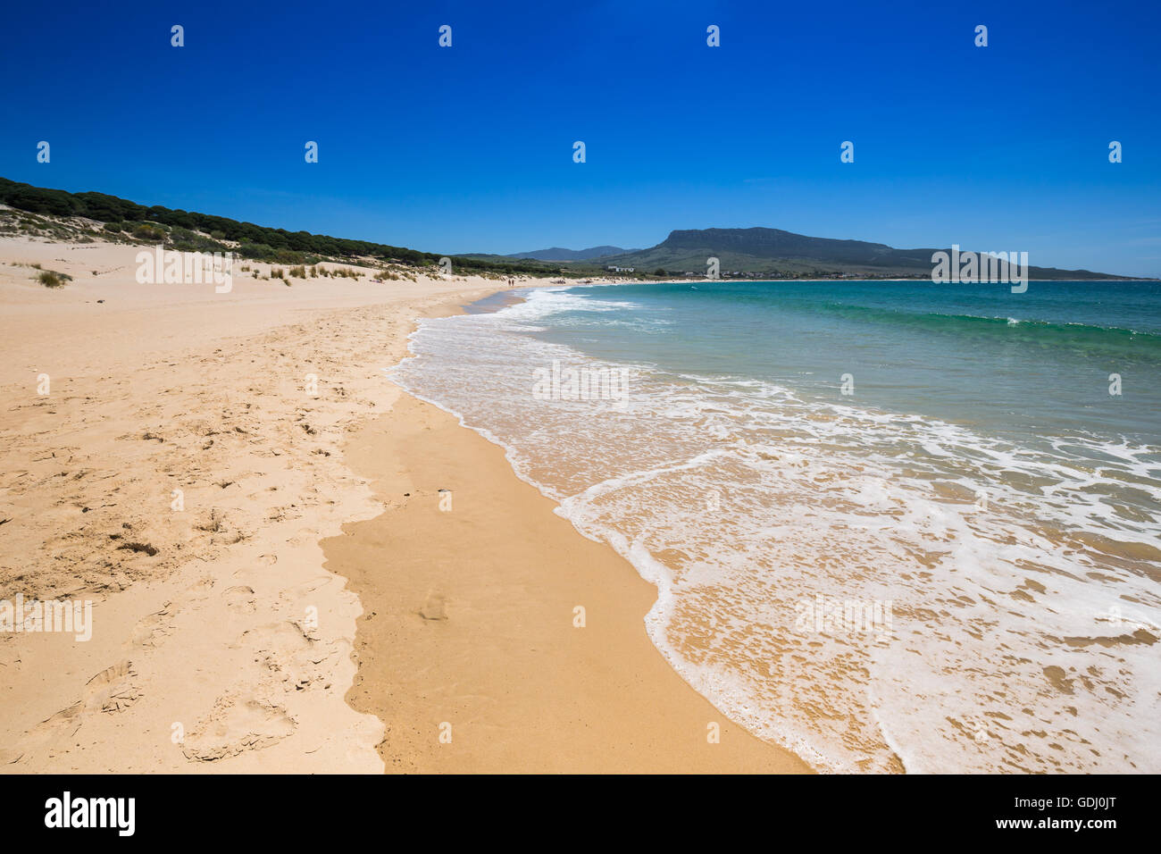bolonia beach a coastal village in the municipality of Tarifa in the ...