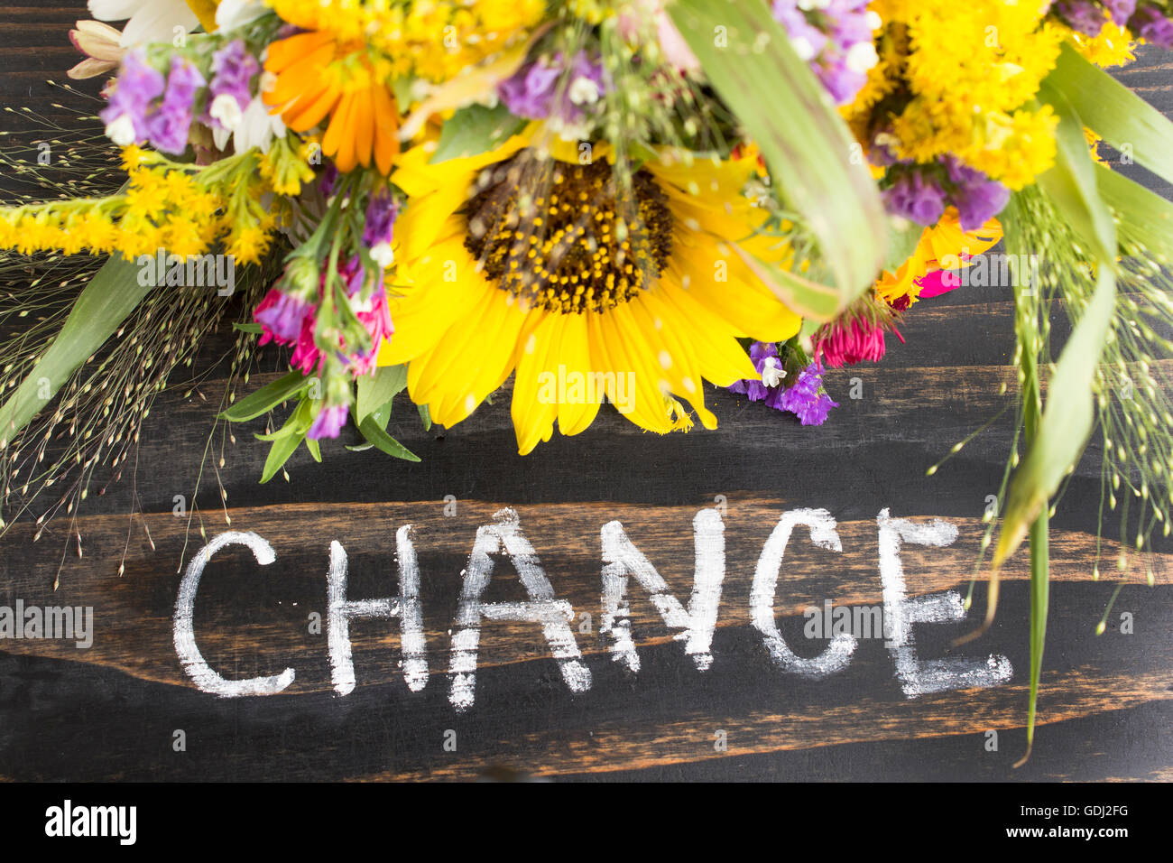 Word Chance with Summer Flowers on a Rustic Wooden Background Stock ...
