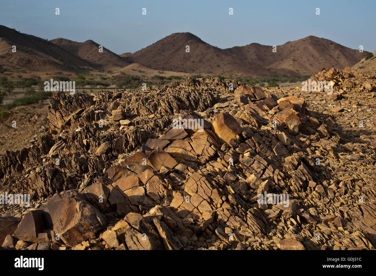 Berahile hi-res stock photography and images - Alamy