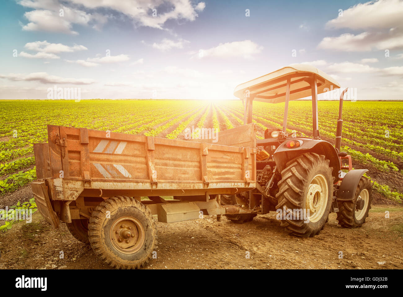 Tractor in field agriculture hi-res stock photography and images - Alamy