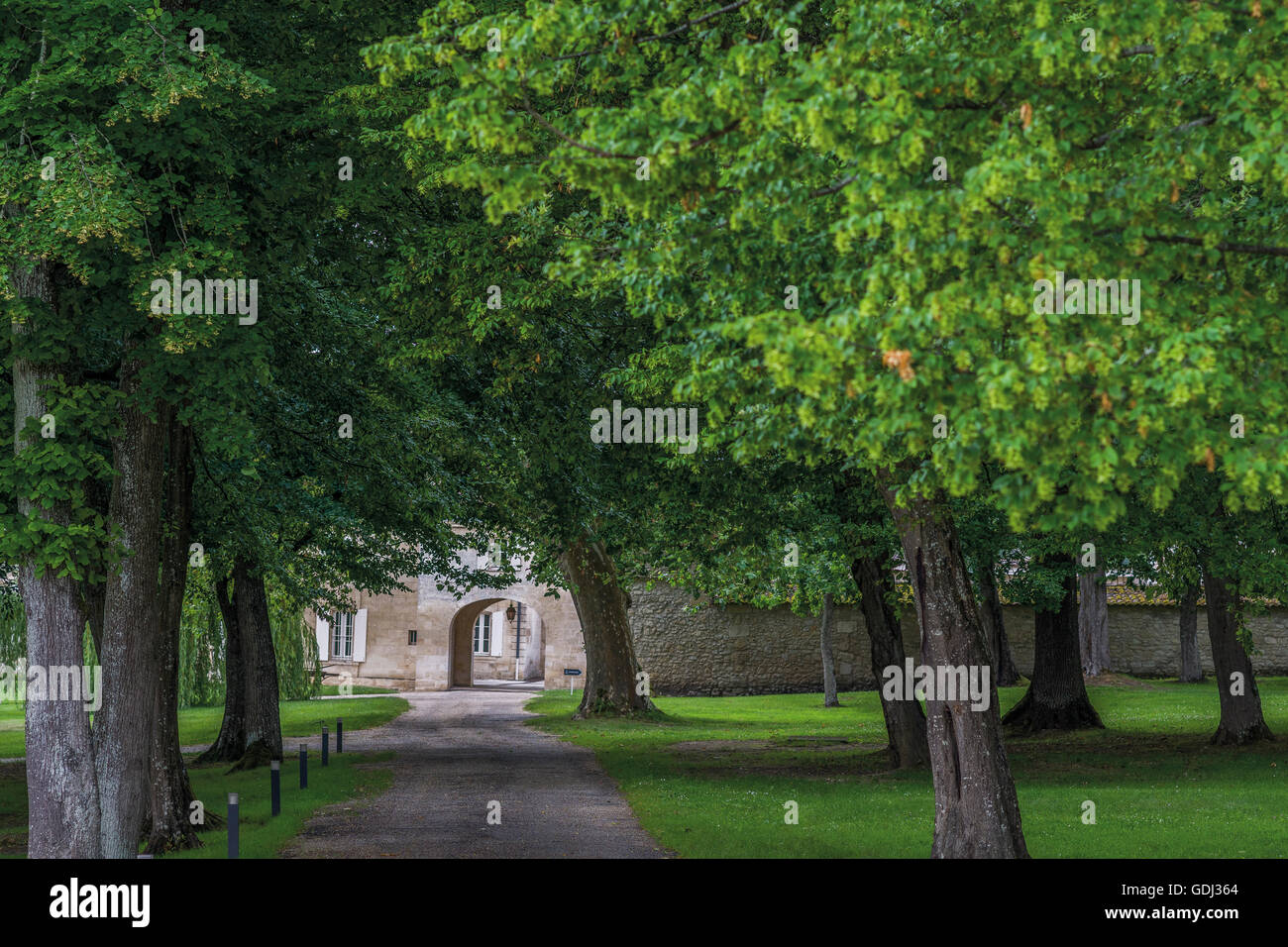 Fronsac Wine High Resolution Stock Photography and Images - Alamy