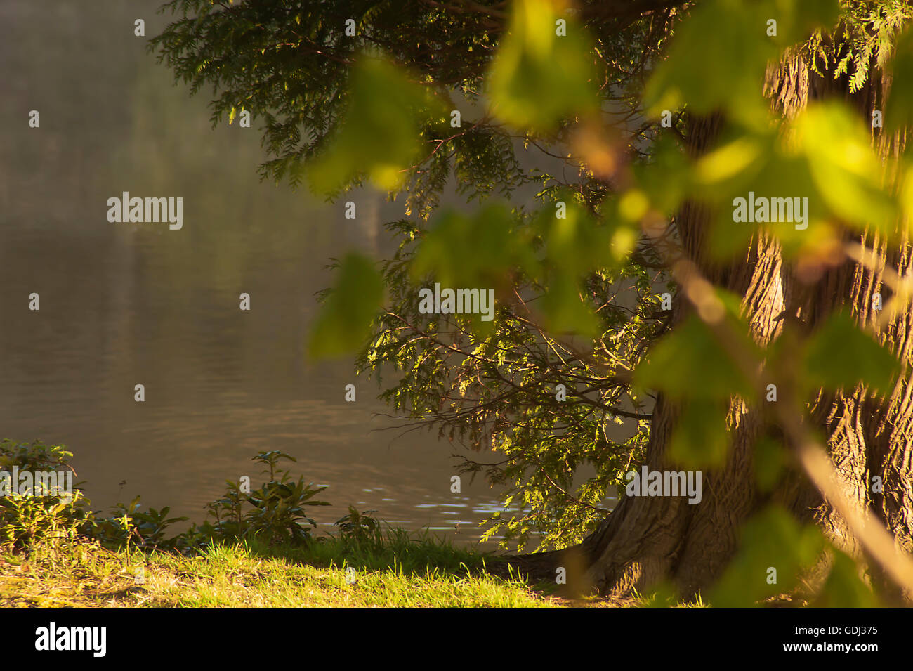 Countryside lake hi-res stock photography and images - Alamy