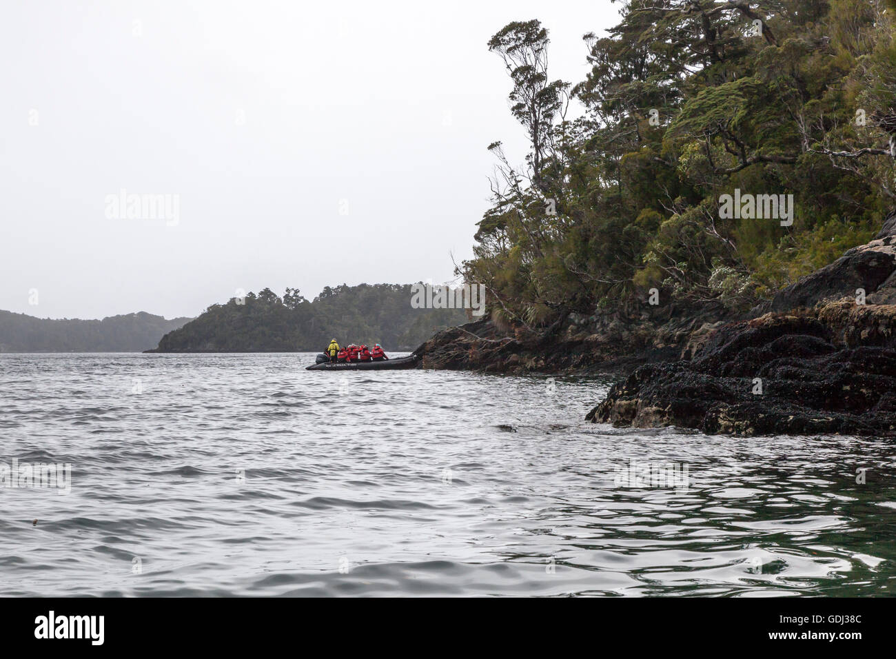 Cruising in new zealand hi-res stock photography and images - Alamy