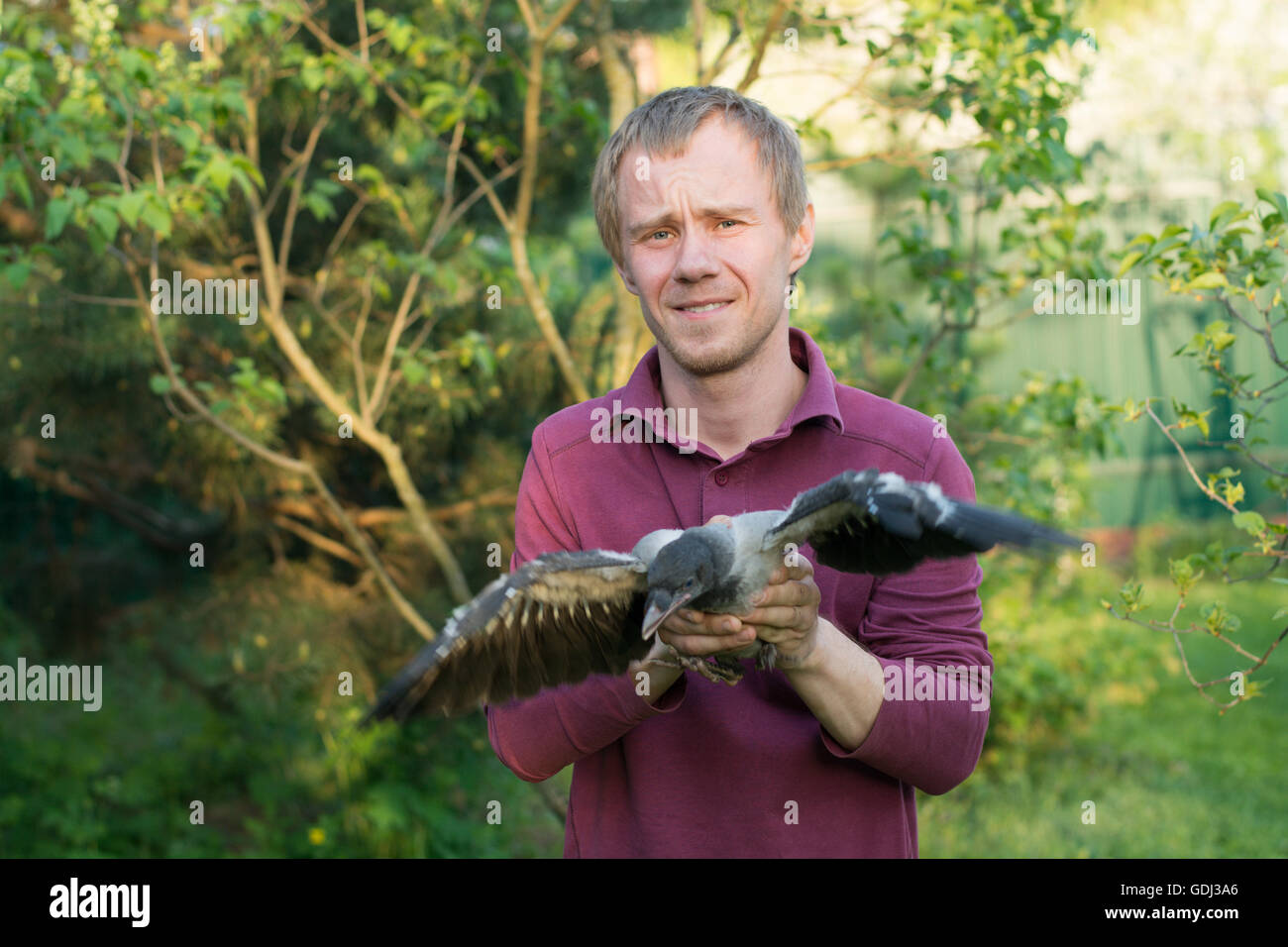 Man and rook bird hi-res stock photography and images - Alamy