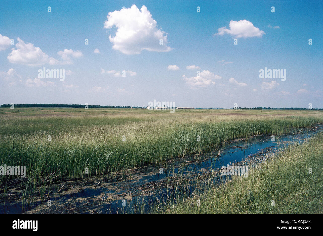 geography / travel, Hungary, national reserve Hortobagy, puszta ...