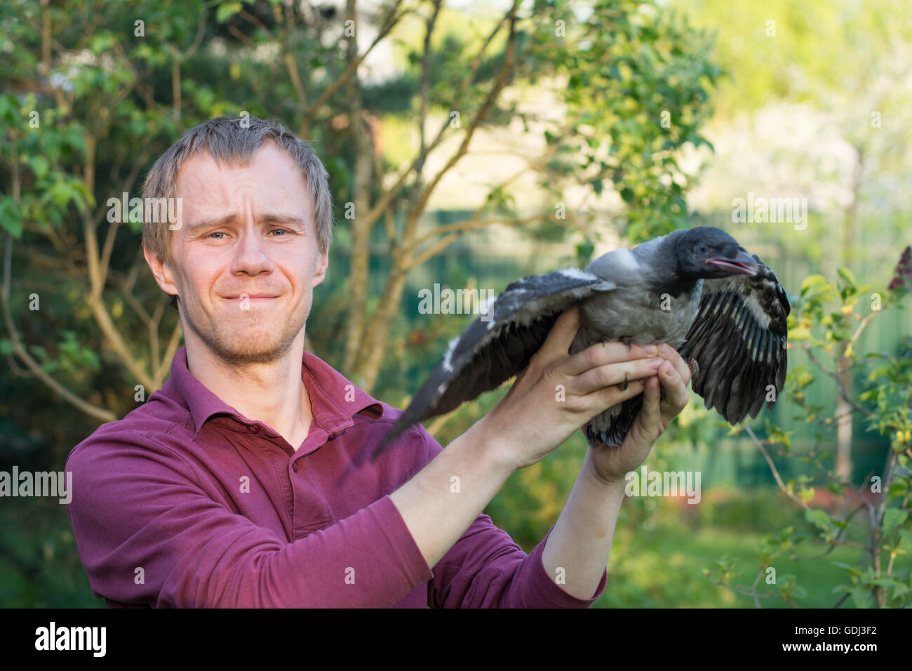 Man and rook bird hi-res stock photography and images - Alamy