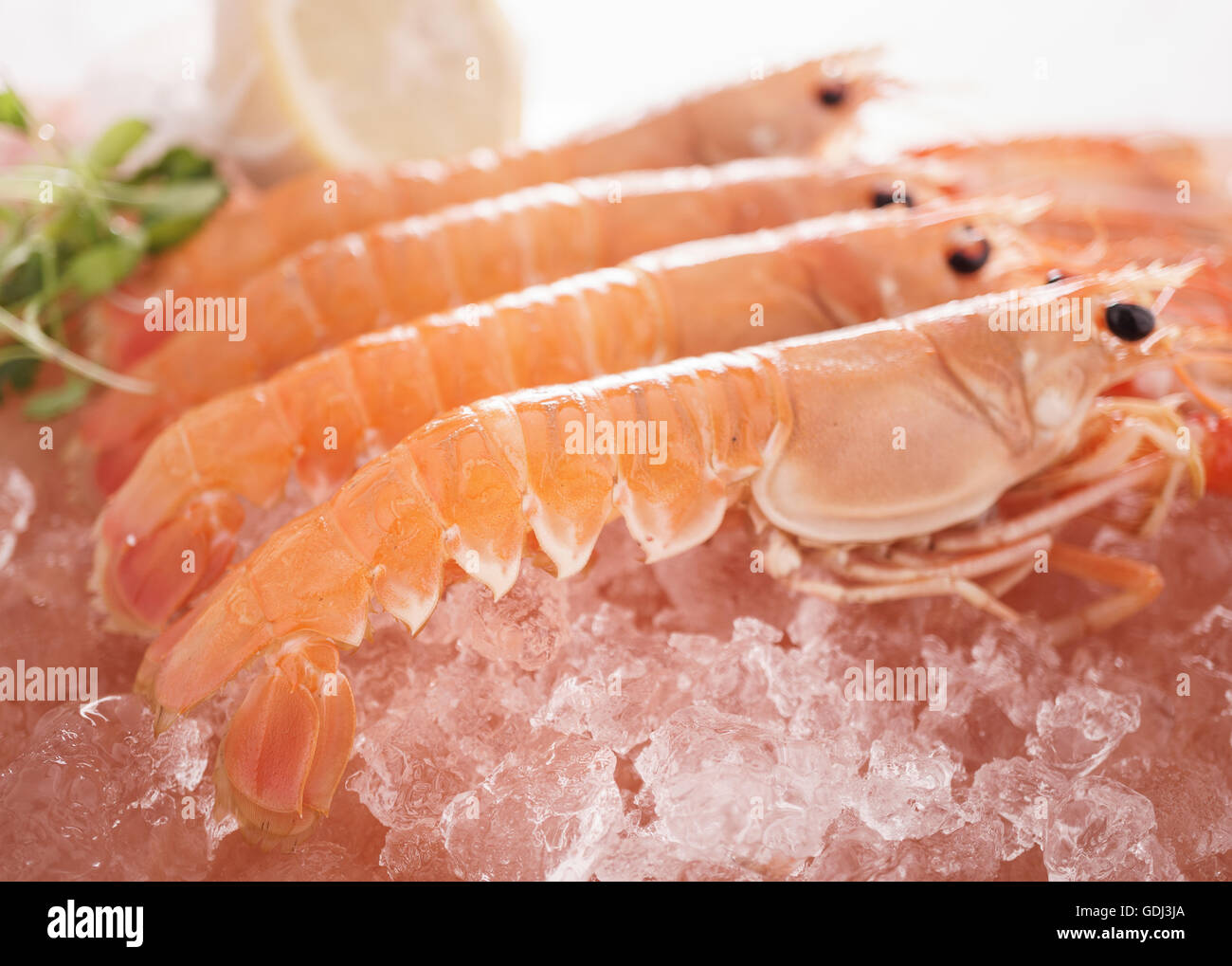Prawns scottish hi-res stock photography and images - Alamy
