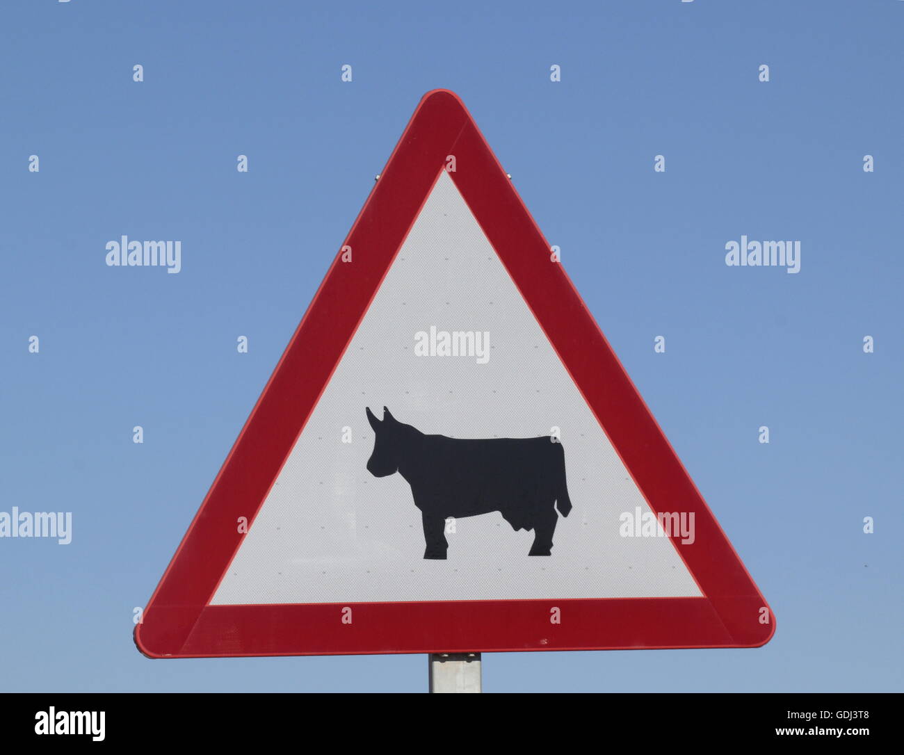 Cow signage hi-res stock photography and images - Alamy