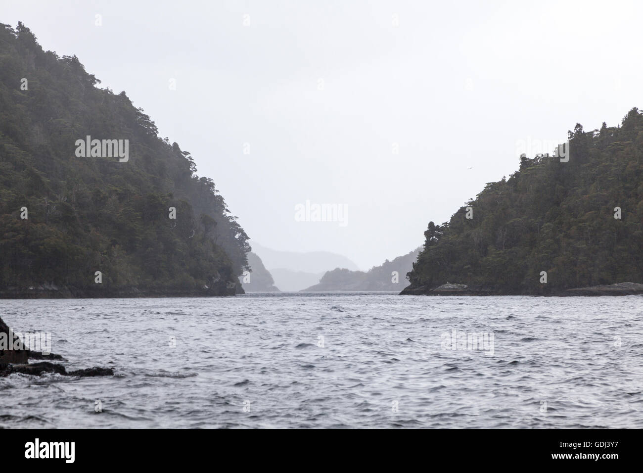 Dusky Sound, Fiordland, New Zealand Stock Photo - Alamy