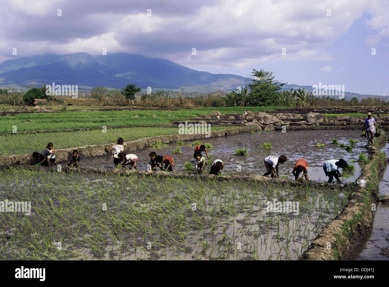 Indonesia Child Labour High Resolution Stock Photography and Images - Alamy
