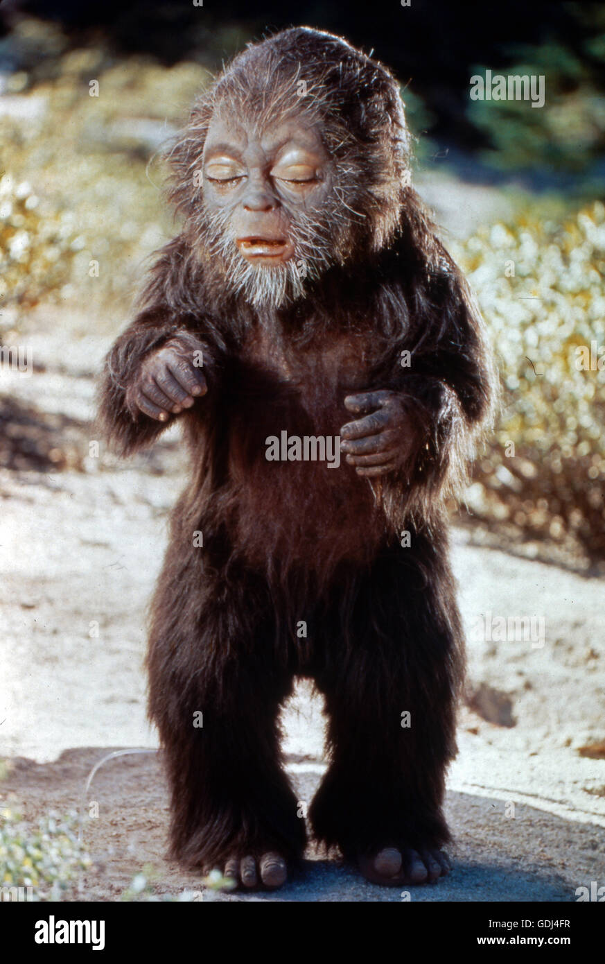 Little Bigfoot, USA 1997, Regie: Art Camacho, Bigfoot Stock Photo - Alamy