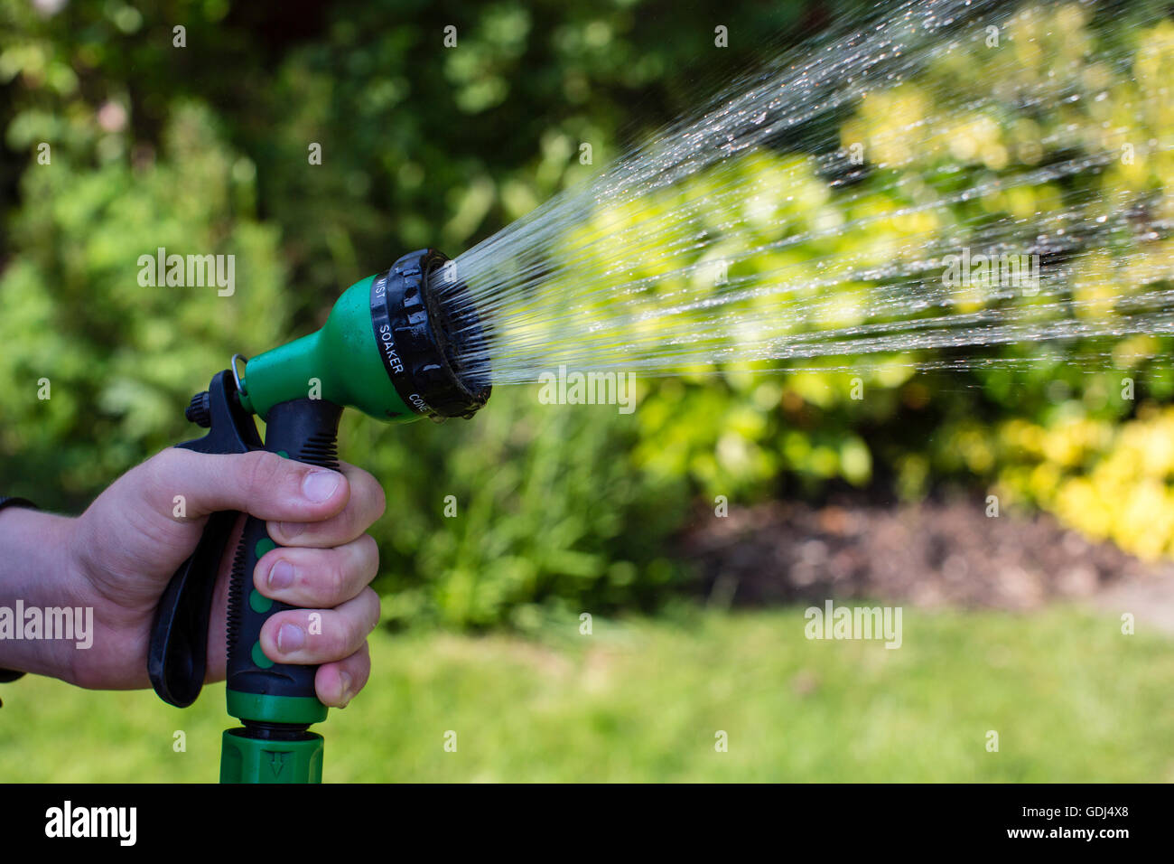 Hand Sprinkler