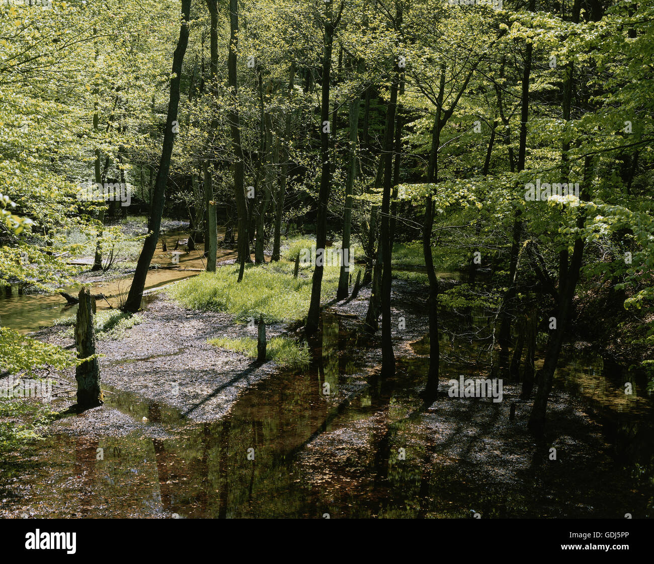 geography / travel, Germany, North Rhine-Westphalia, landscape ...