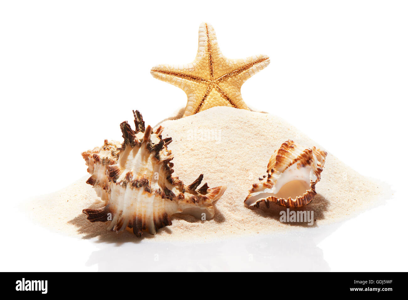 Starfish and couple of sea shells on pile of beach sand, isolated on ...