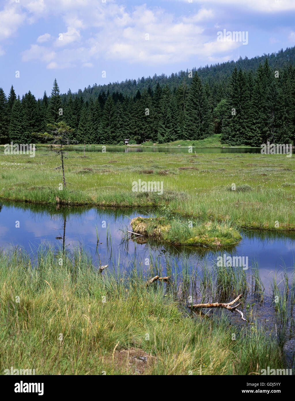 geography / travel, Germany, Bavaria, landscape / landscapes, natural ...