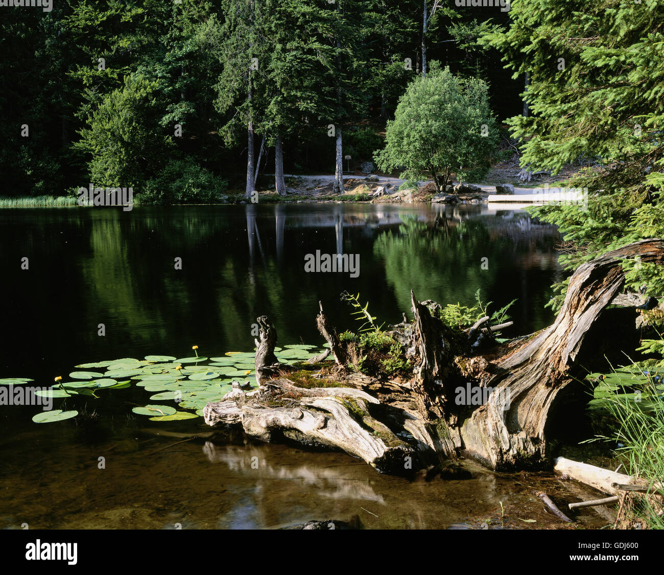 geography / travel, Germany, Bavaria, landscape / landscapes, natural ...