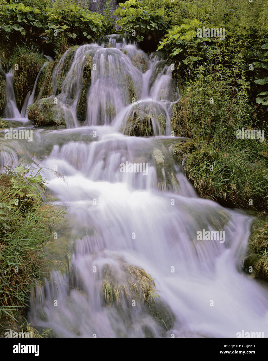 geography / travel, Croatia, landscape / landscapes, Plitvice Lakes ...