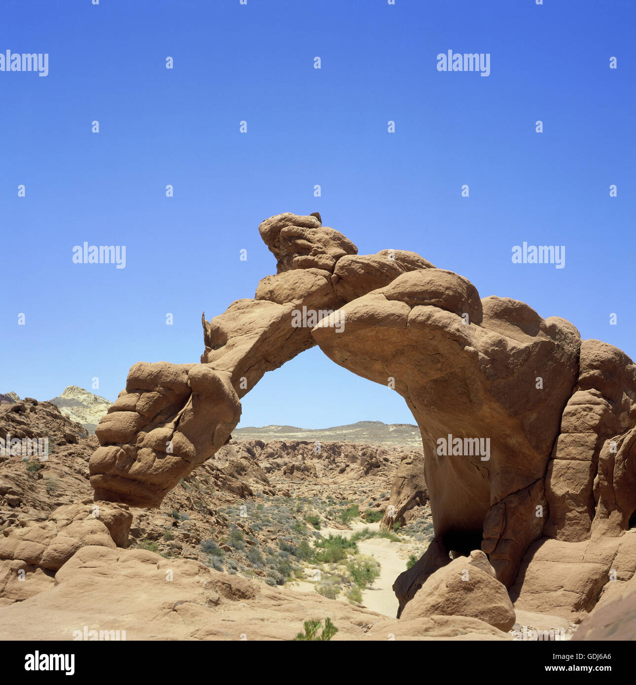 geography / travel, USA, Nevada, landscapes, Valley of Fire, Ephemeral ...