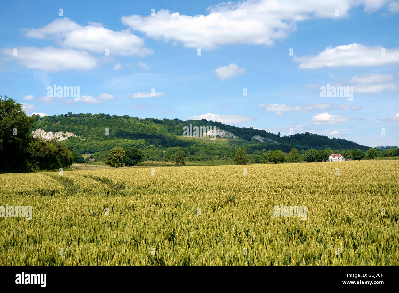 Brockham surrey hi-res stock photography and images - Alamy