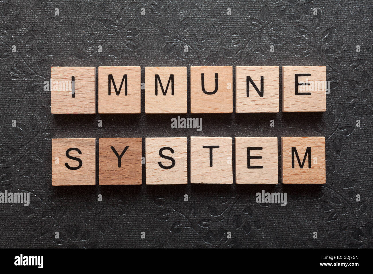 The word immune system formed with wooden letters on dark background ...
