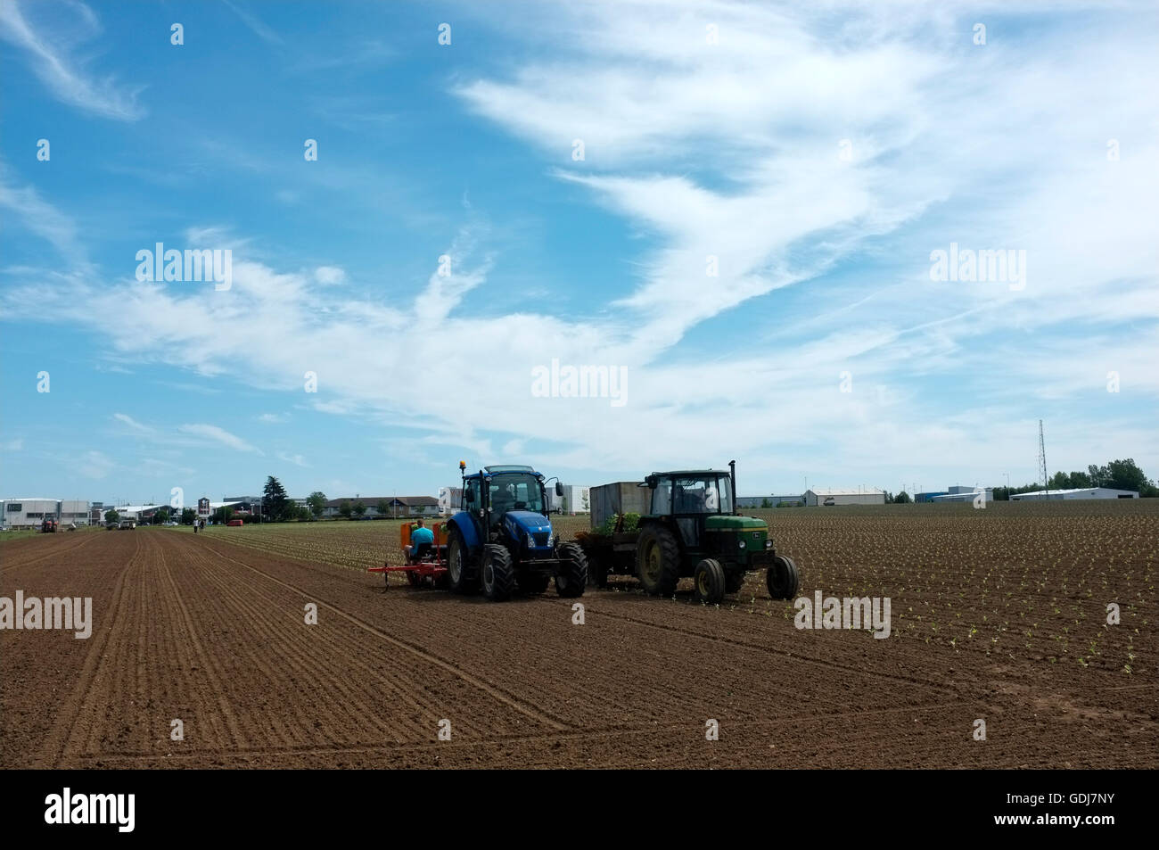 farm workers on tractors on the isle of thanet east kent uk july 2016 ...