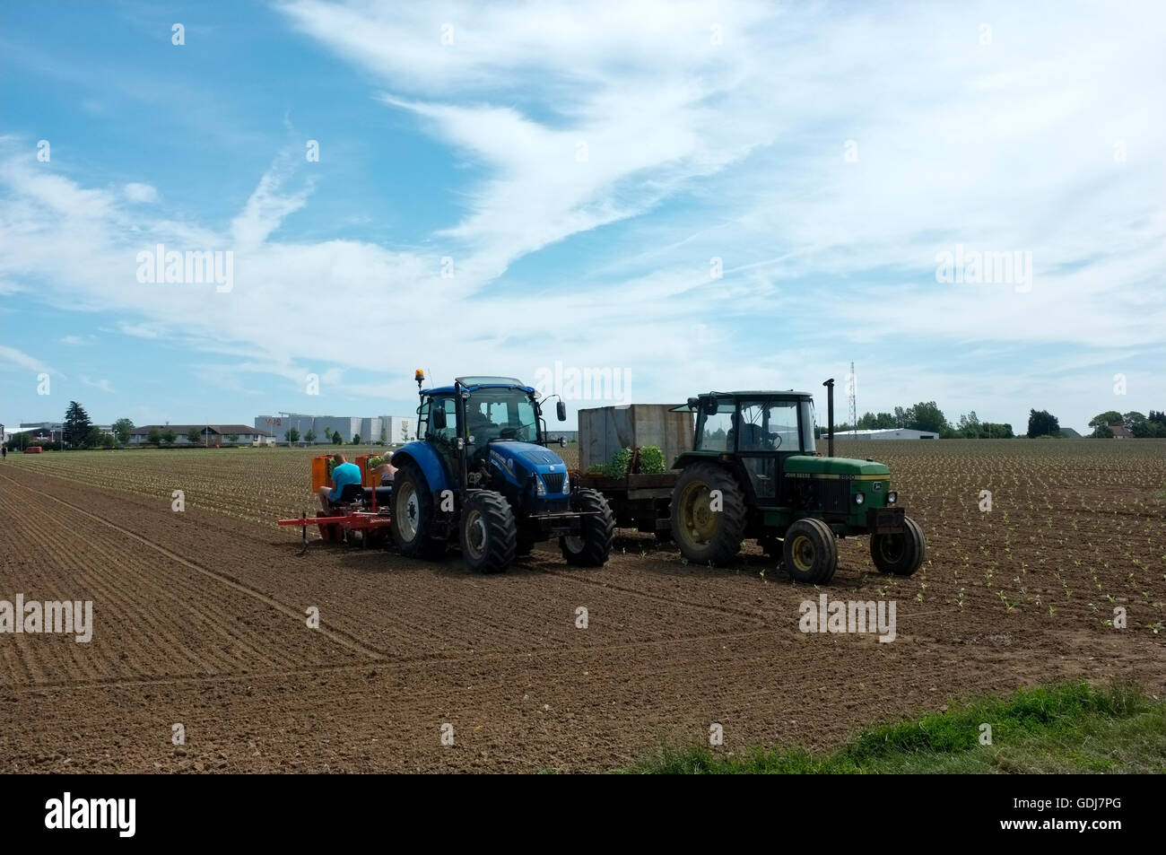 Thanet earth farm hi-res stock photography and images - Alamy