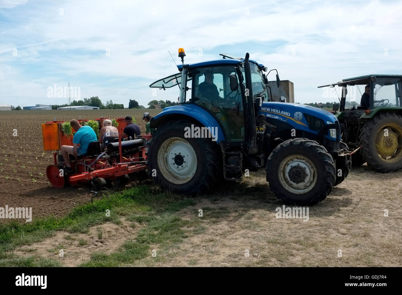 Thanet earth farm hi-res stock photography and images - Alamy