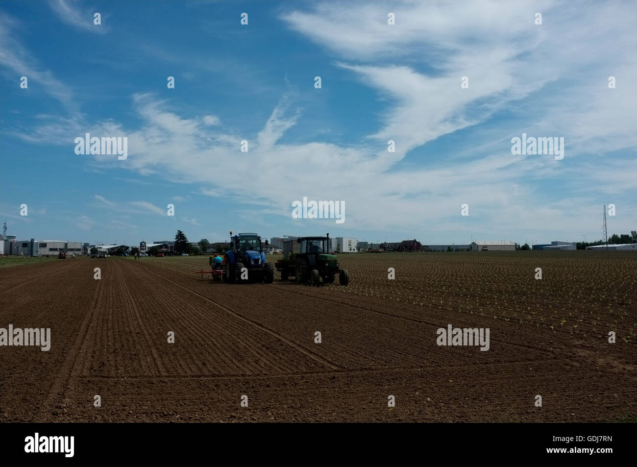 farm workers on tractors on the isle of thanet east kent uk july 2016 ...