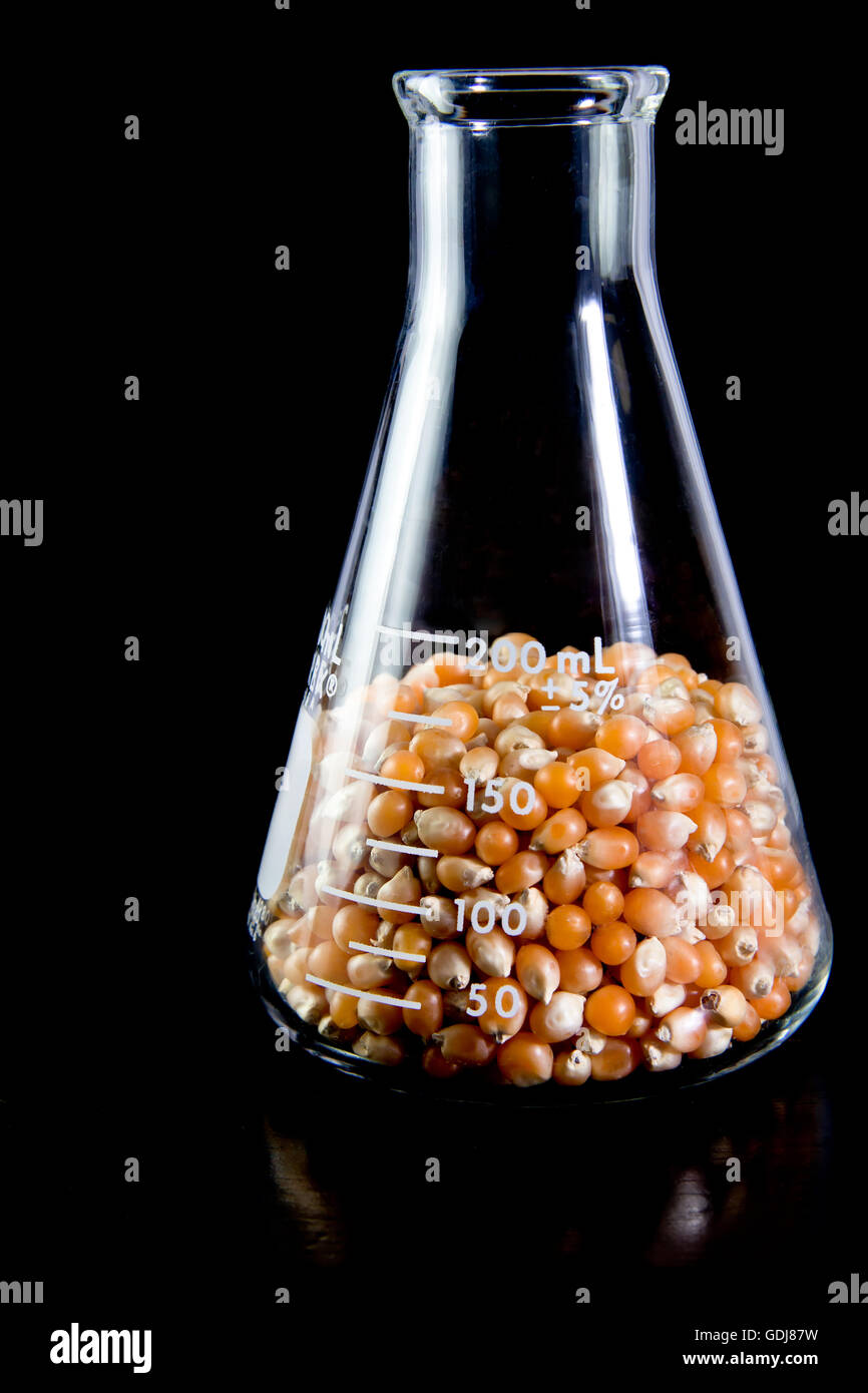 Corn in an erlenmeyer flask on a black background Stock Photo - Alamy