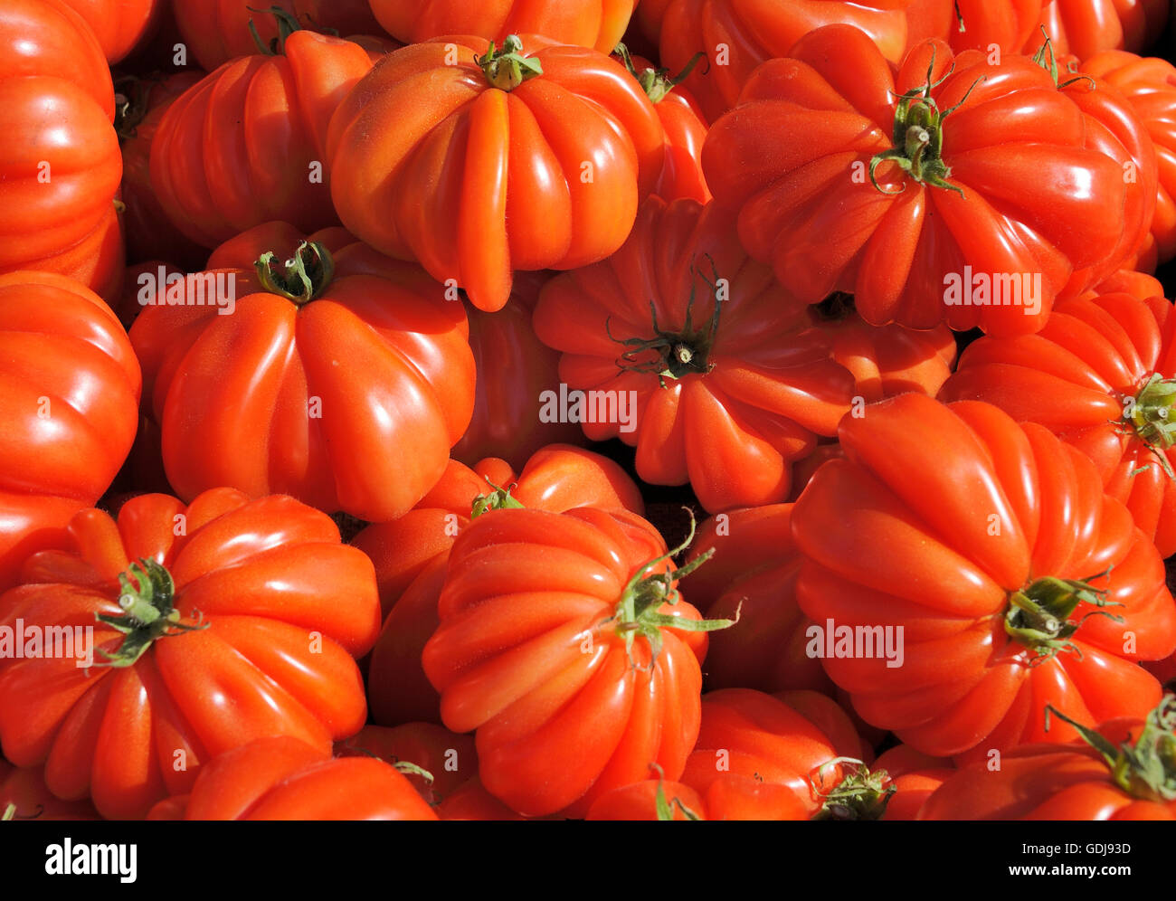 Tomato not ripe hi-res stock photography and images - Alamy